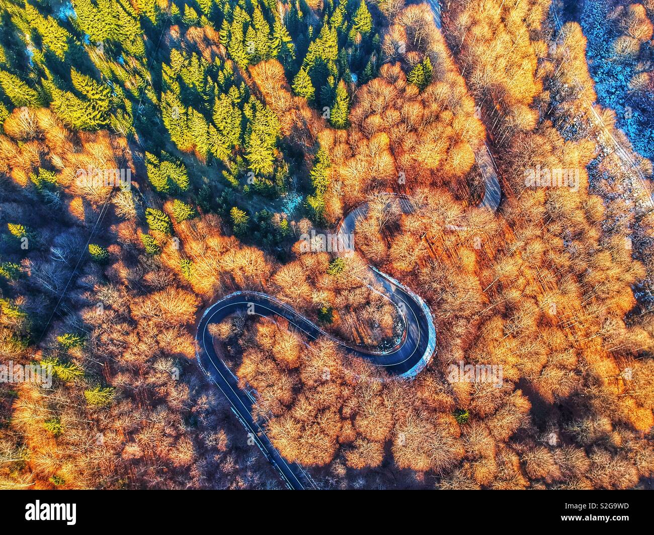 Mix of nature hi-res stock photography and images - Alamy