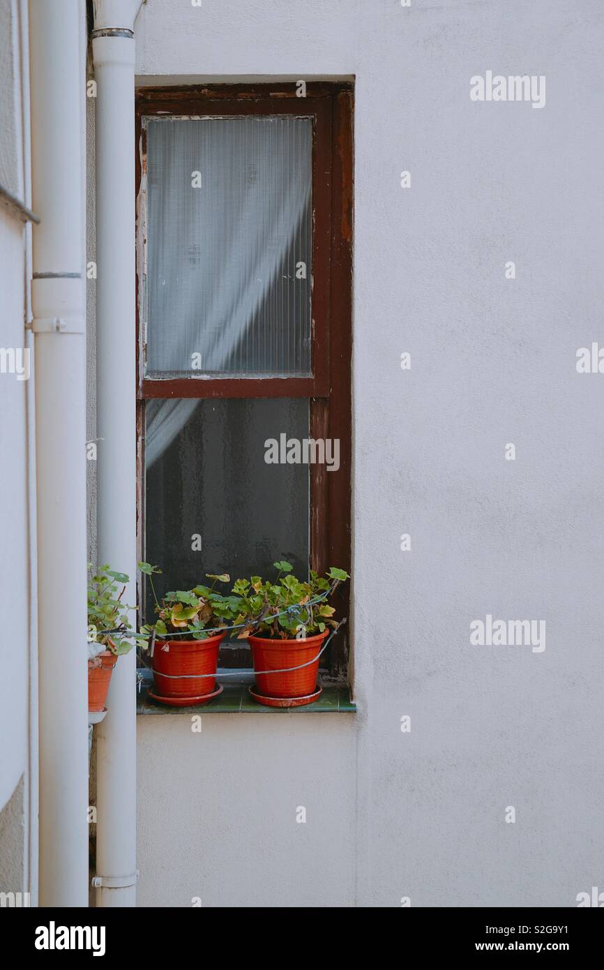 window in the white facade in the street Stock Photo - Alamy