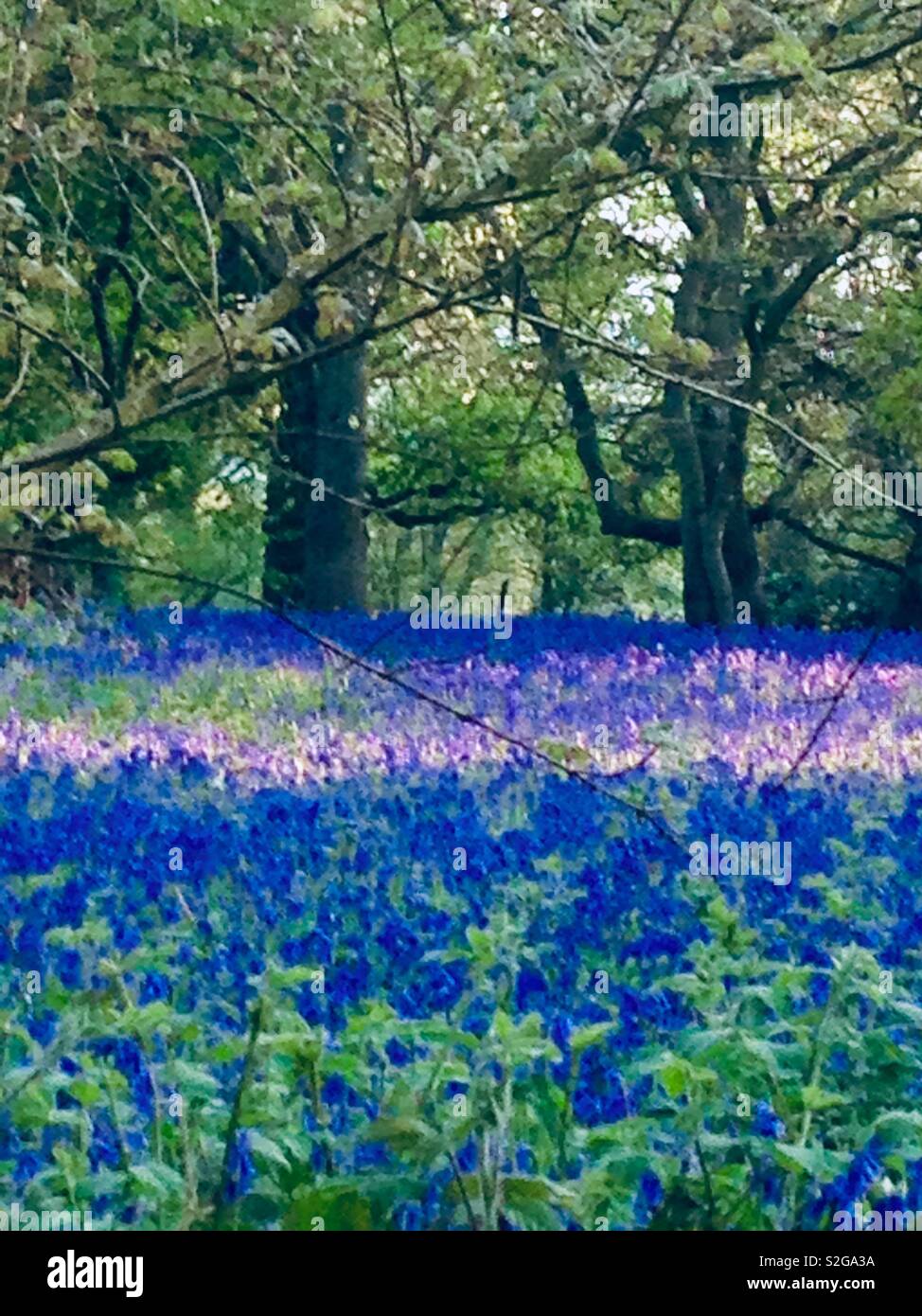 Meditation bells hi-res stock photography and images - Alamy