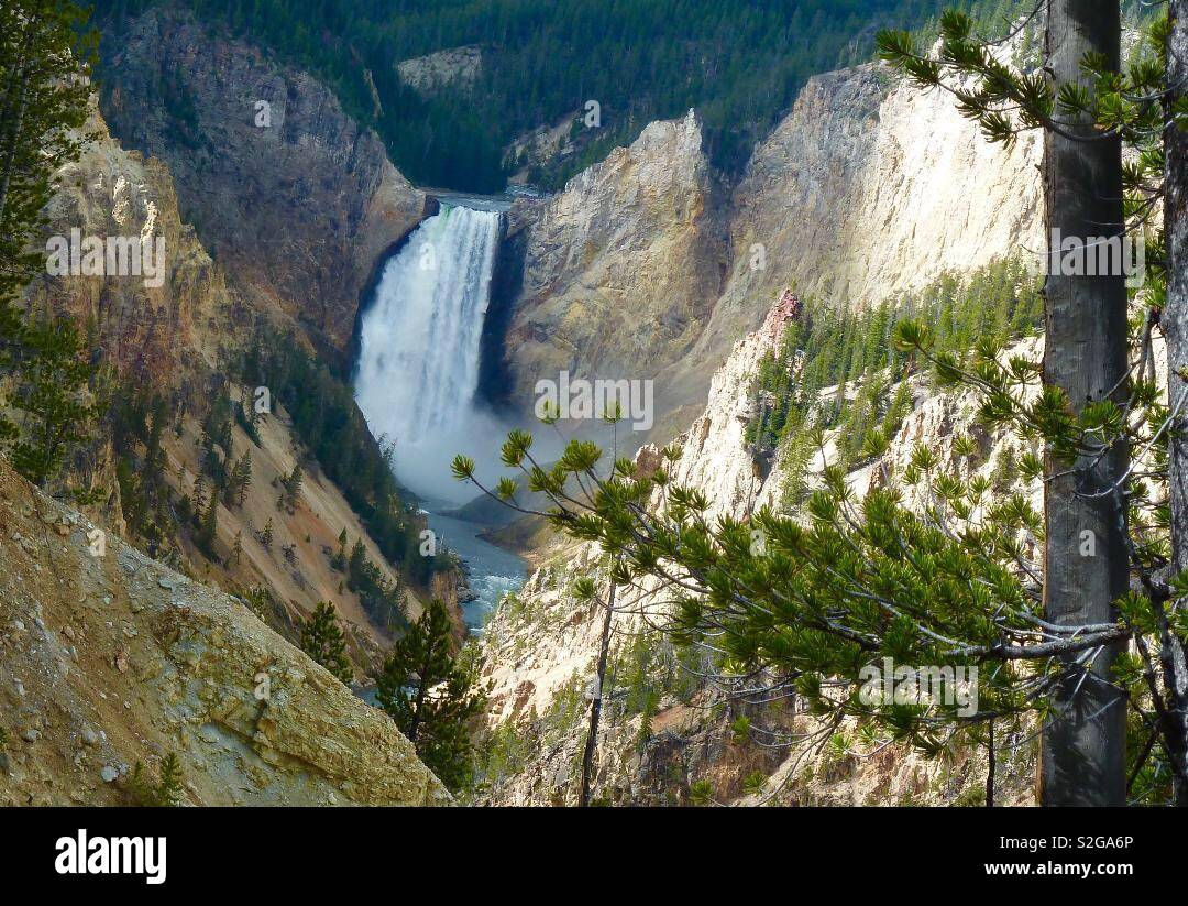 Yellowstone national park main waterfall Stock Photo - Alamy