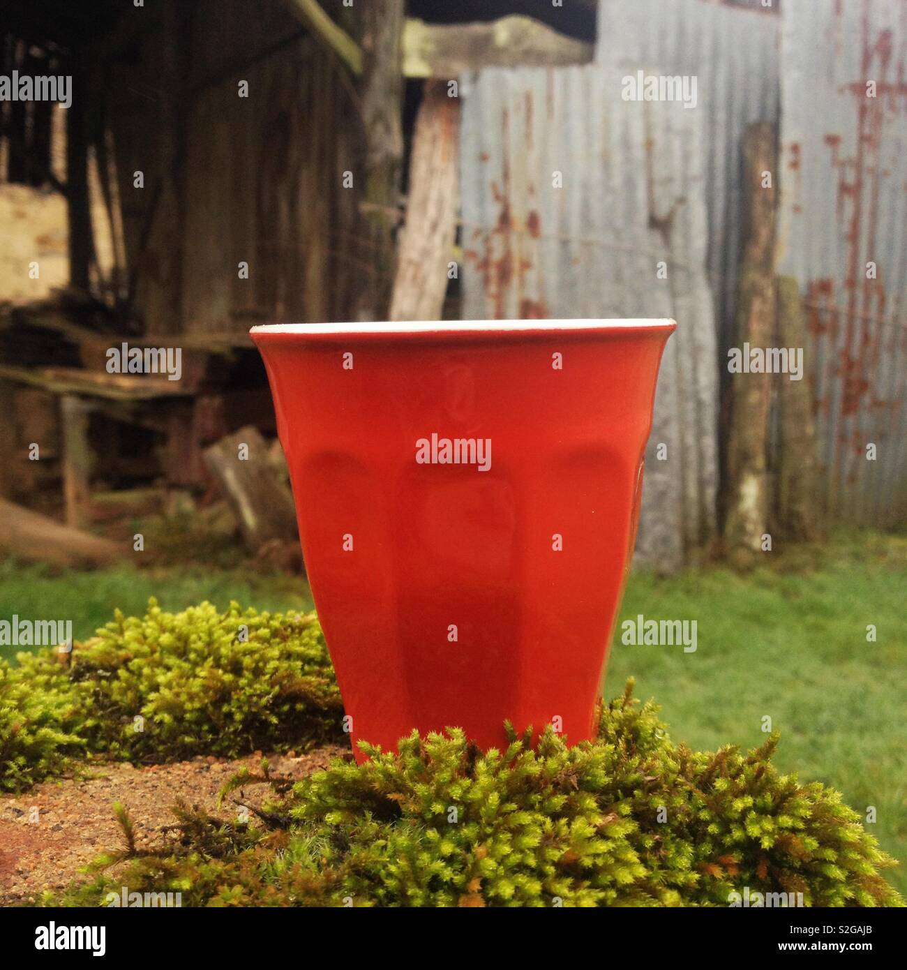 Moss drink hi-res stock photography and images - Alamy