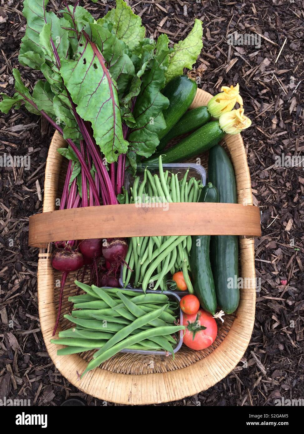 Allotment vegetables in a trug hi-res stock photography and images - Alamy