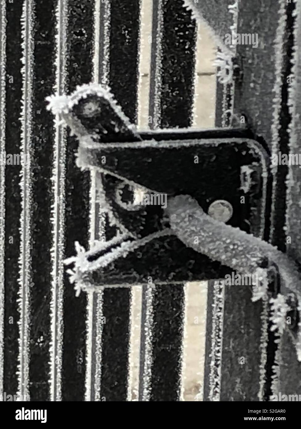 Freezing fog coating hi-res stock photography and images - Alamy