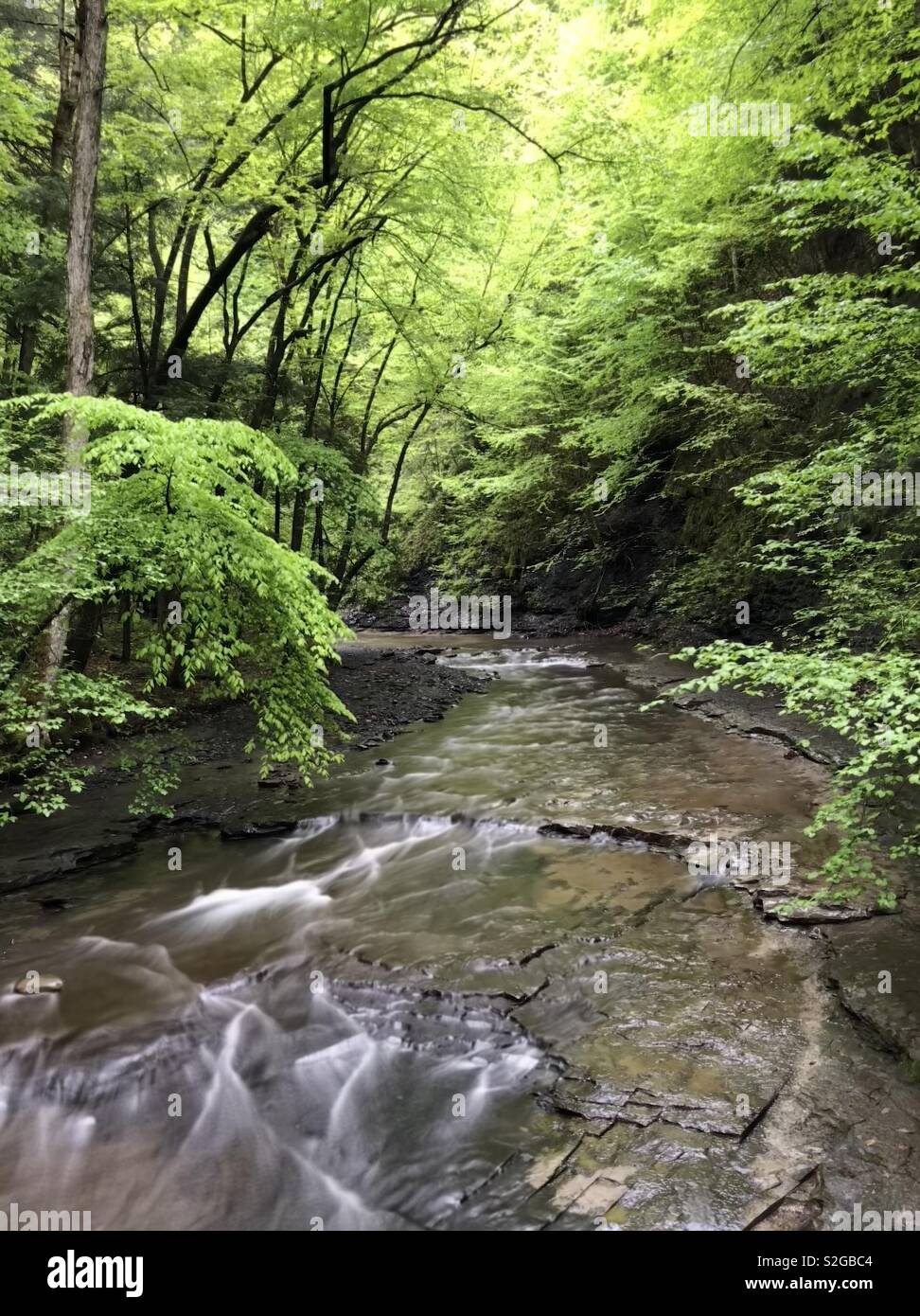 Inspired by nature Stock Photo - Alamy
