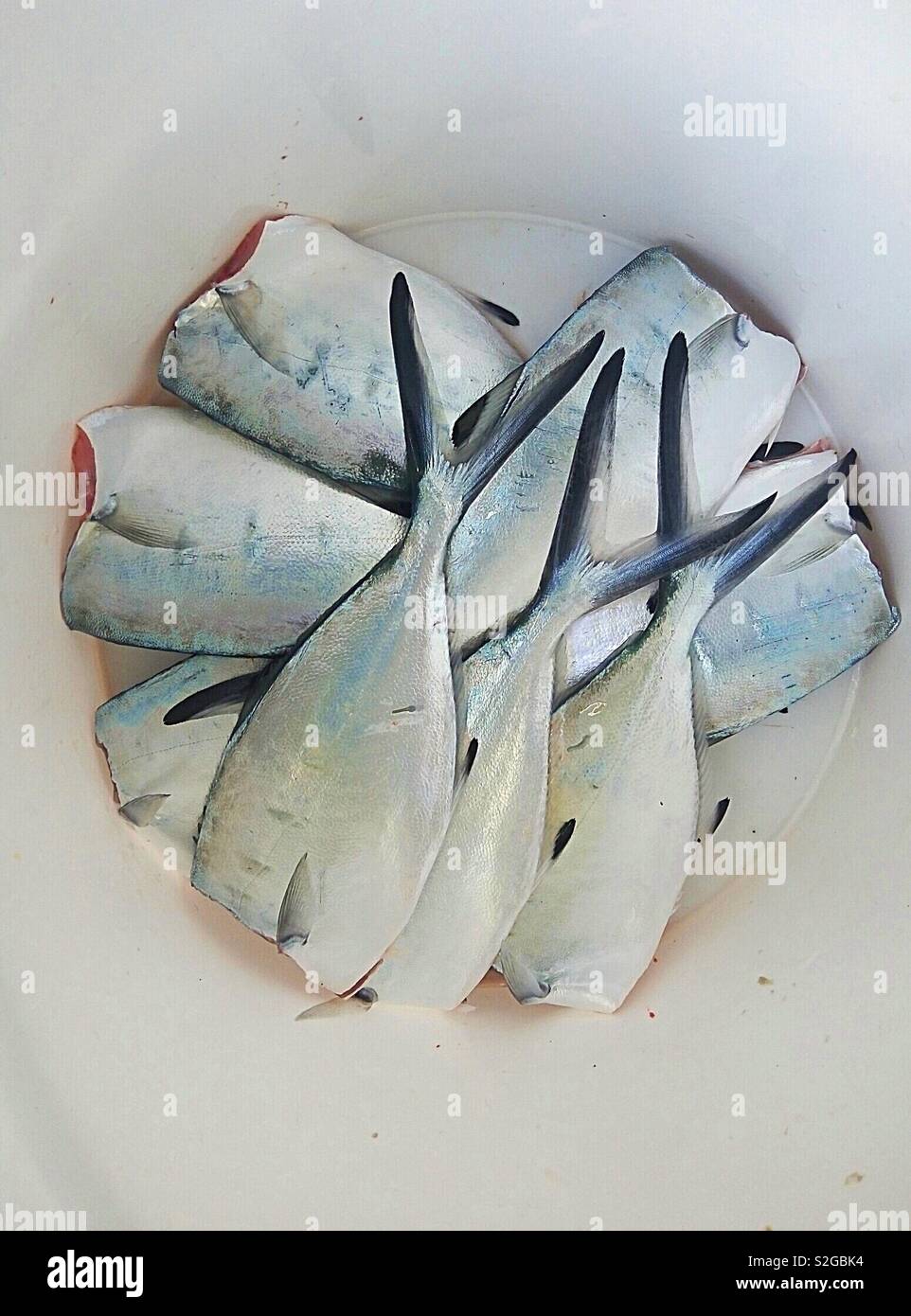 Bucket of fish Stock Photo - Alamy