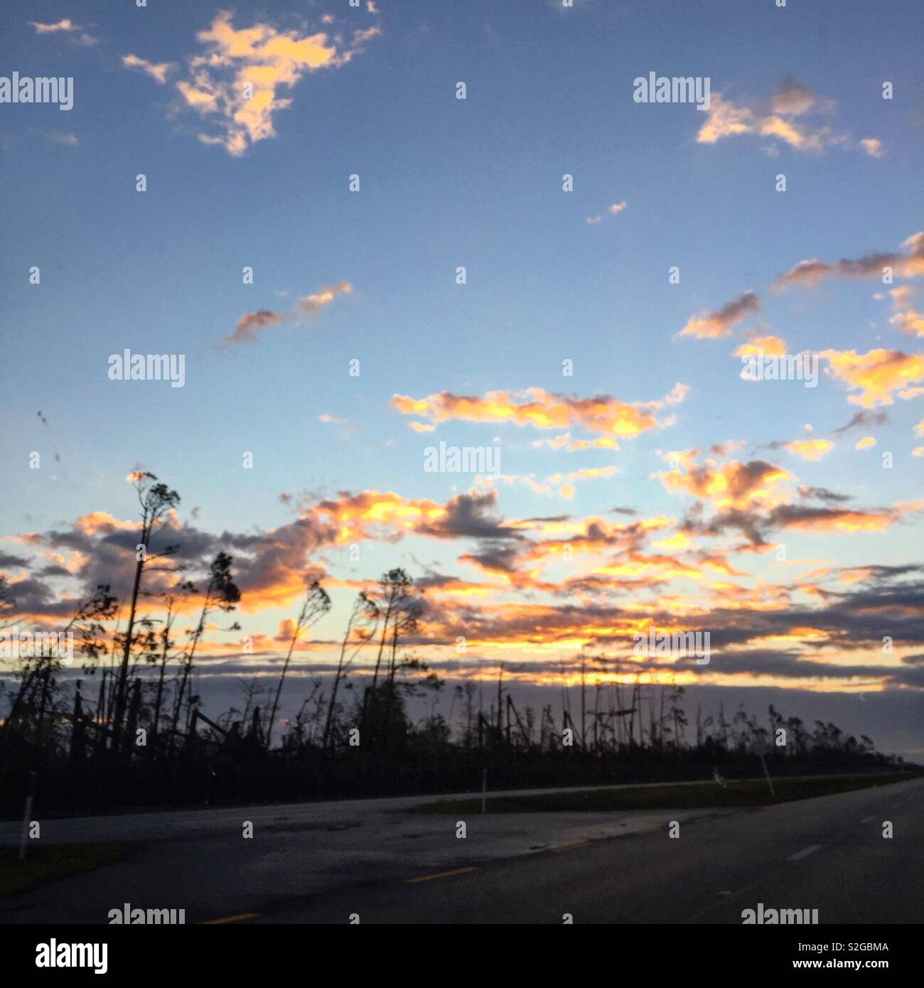 Beauty and the destruction hi-res stock photography and images - Alamy