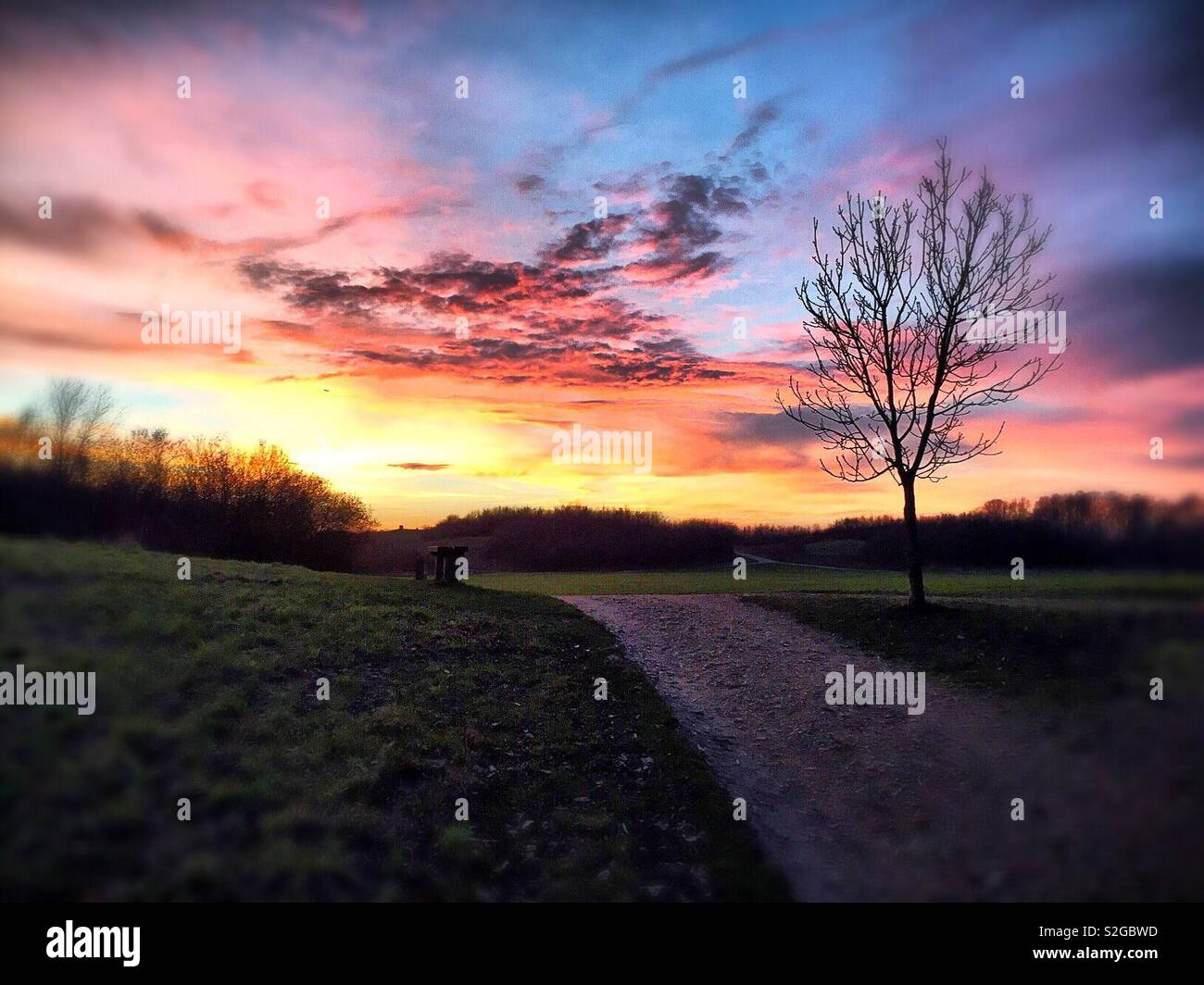 The Path Ahead Stock Photo - Alamy