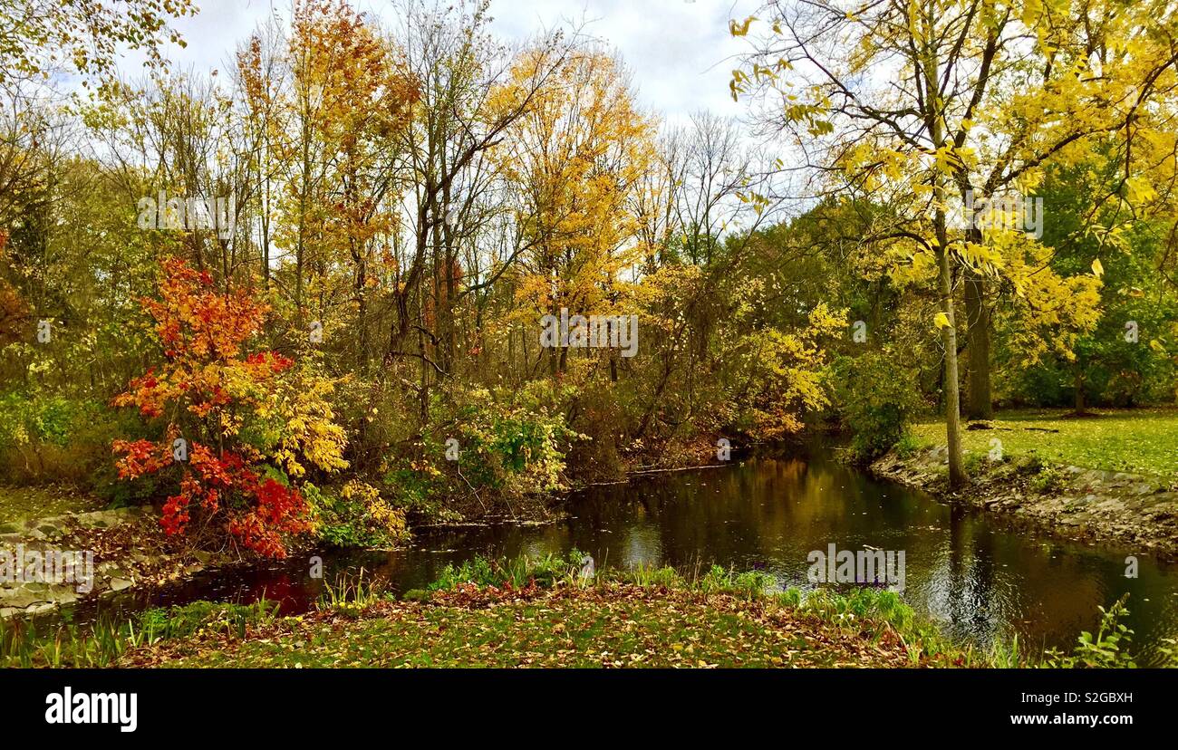 Stream and fall colors hi-res stock photography and images - Alamy