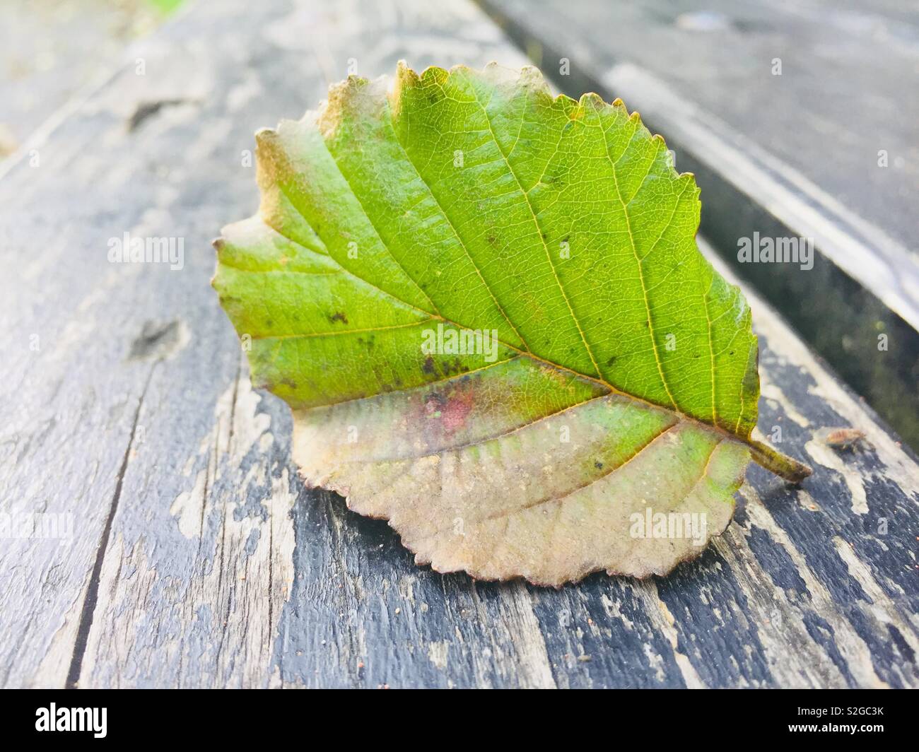 Without filters hi-res stock photography and images - Alamy