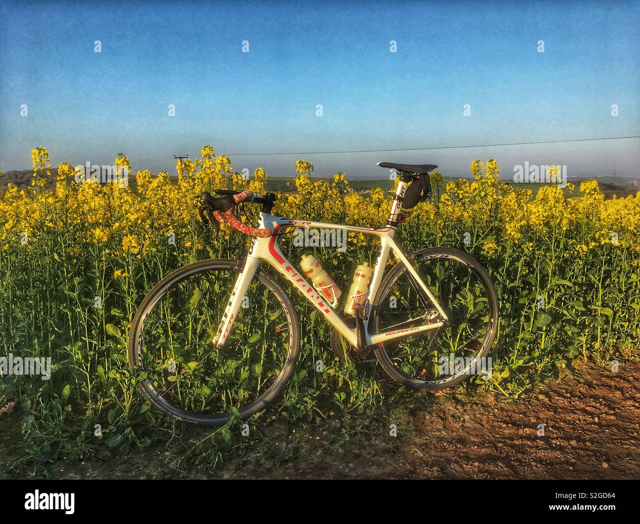Early morning bike in field Stock Photo - Alamy