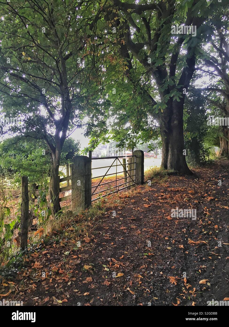 Gate in countryside Stock Photo - Alamy