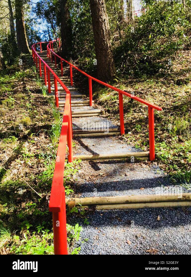 Red Painted stairs at forest in Scotland Stock Photo - Alamy