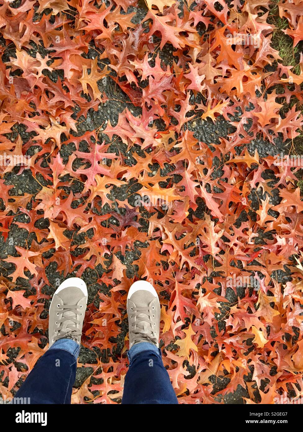 Fall in Seattle Stock Photo - Alamy