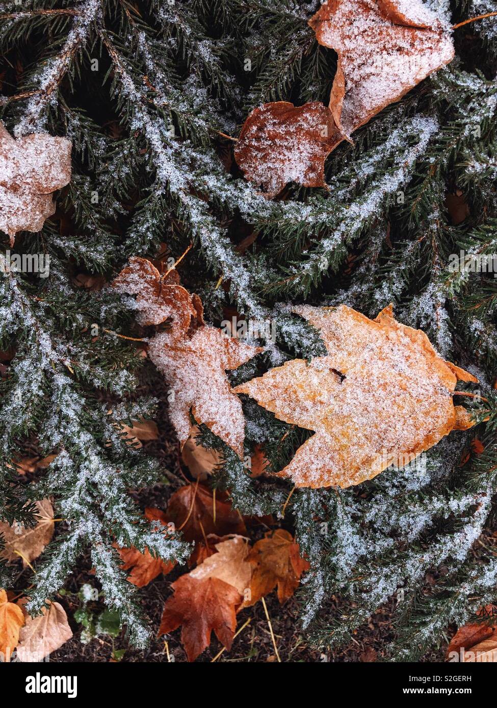 Still snowy hi-res stock photography and images - Alamy