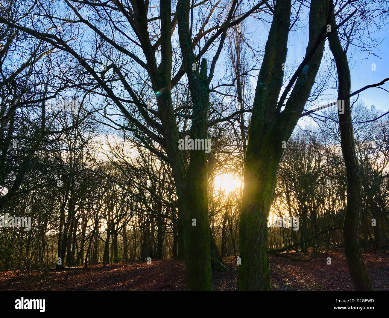 Setting winter sun hi-res stock photography and images - Alamy