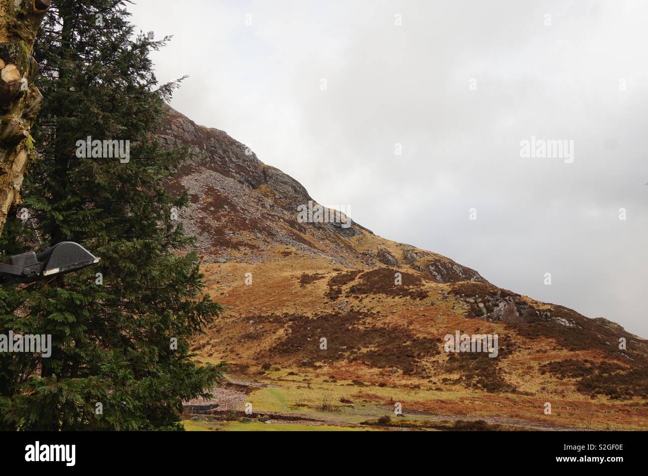 Scottish highland in spring Stock Photo - Alamy