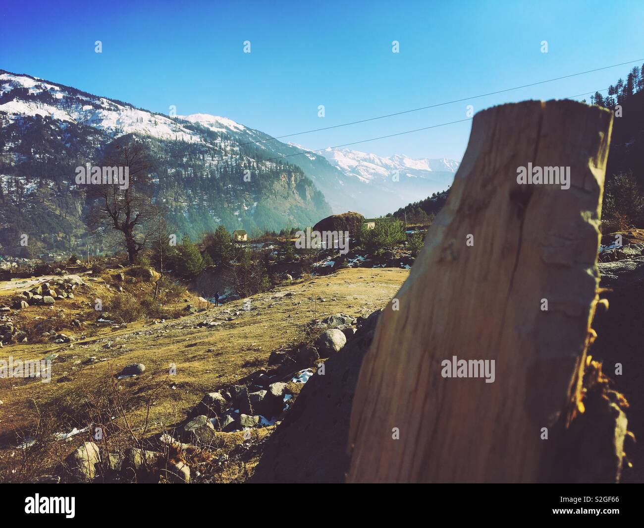 Random nature hi-res stock photography and images - Alamy