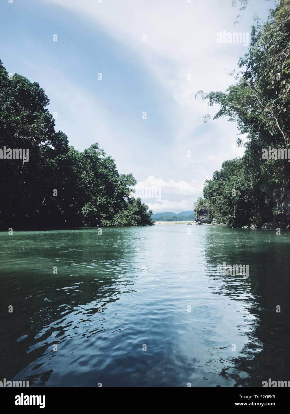 Forest River Landscape Stock Photo - Alamy