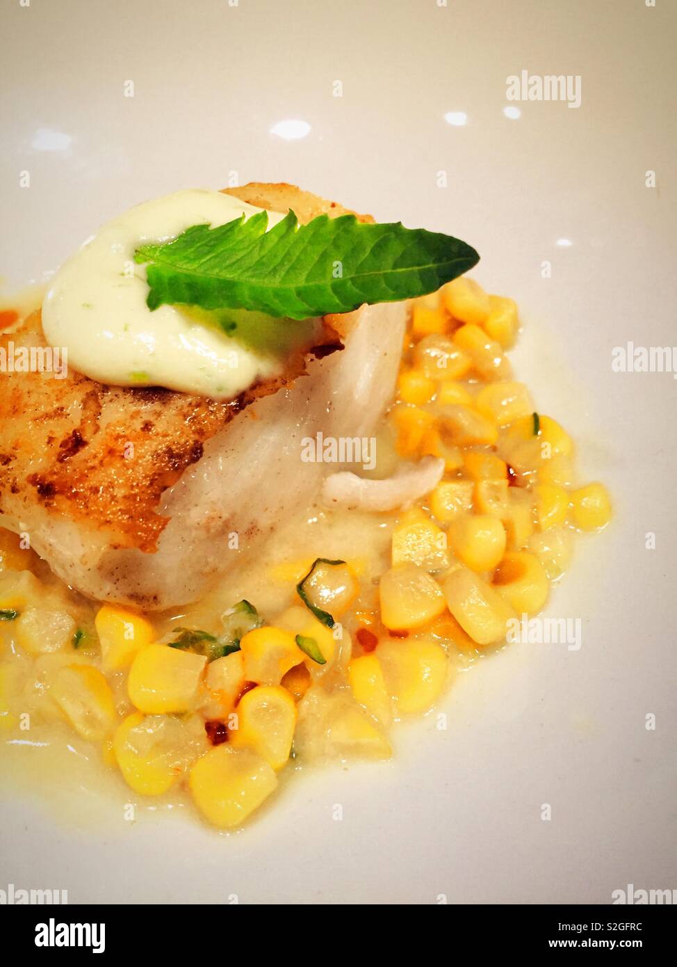 Calabazitas hi-res stock photography and images - Alamy