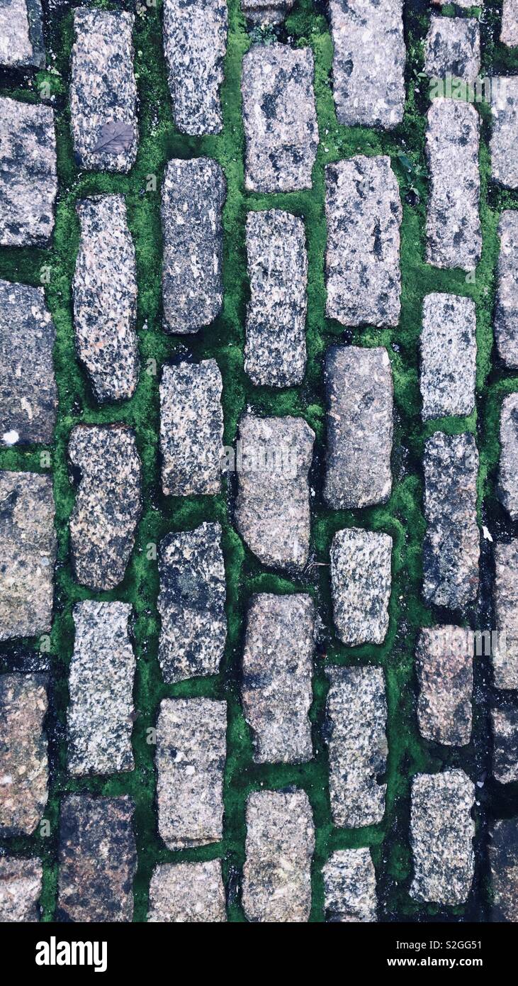 Moss covered bricks hi-res stock photography and images - Alamy