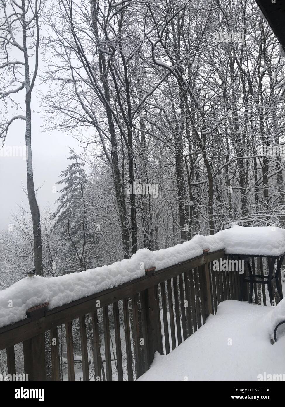 Snowpocalypse hi-res stock photography and images - Alamy