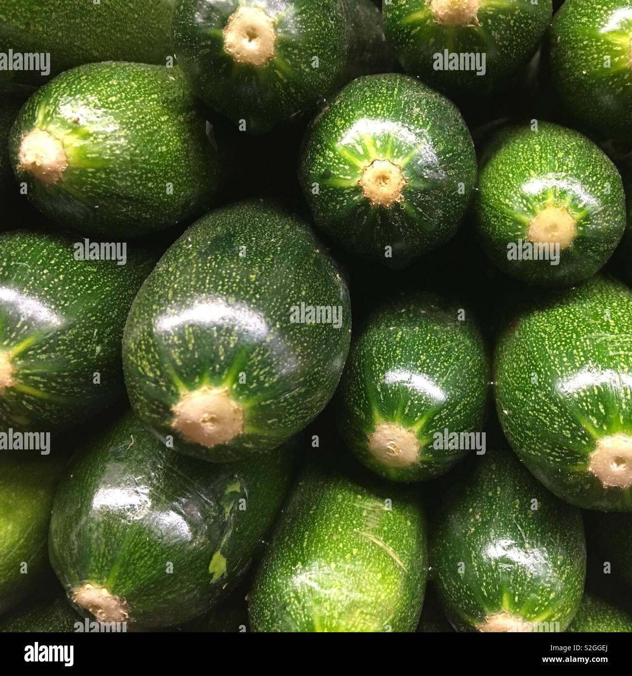 Courgettes zucchini close up hi-res stock photography and images - Alamy