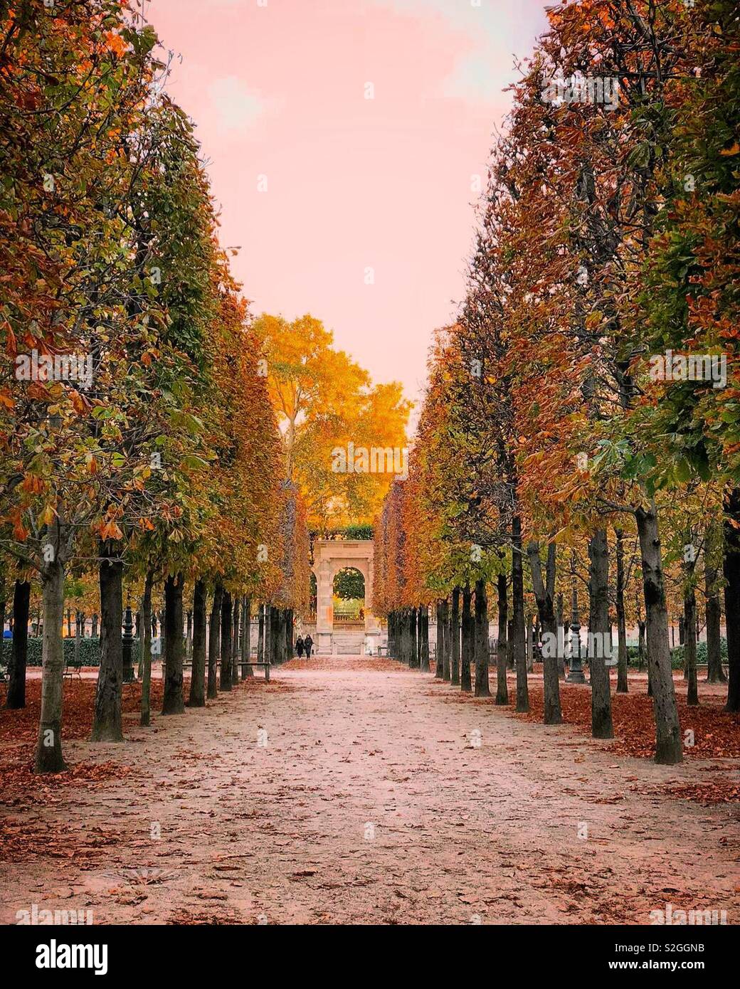 And all at once summer will soon collapsed into a fall ! 🍂🍁 Stock Photo ...