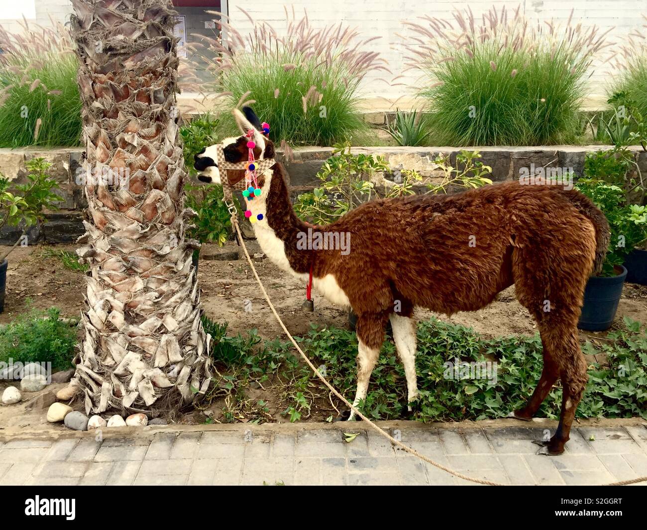 Lima tourism hi-res stock photography and images - Alamy