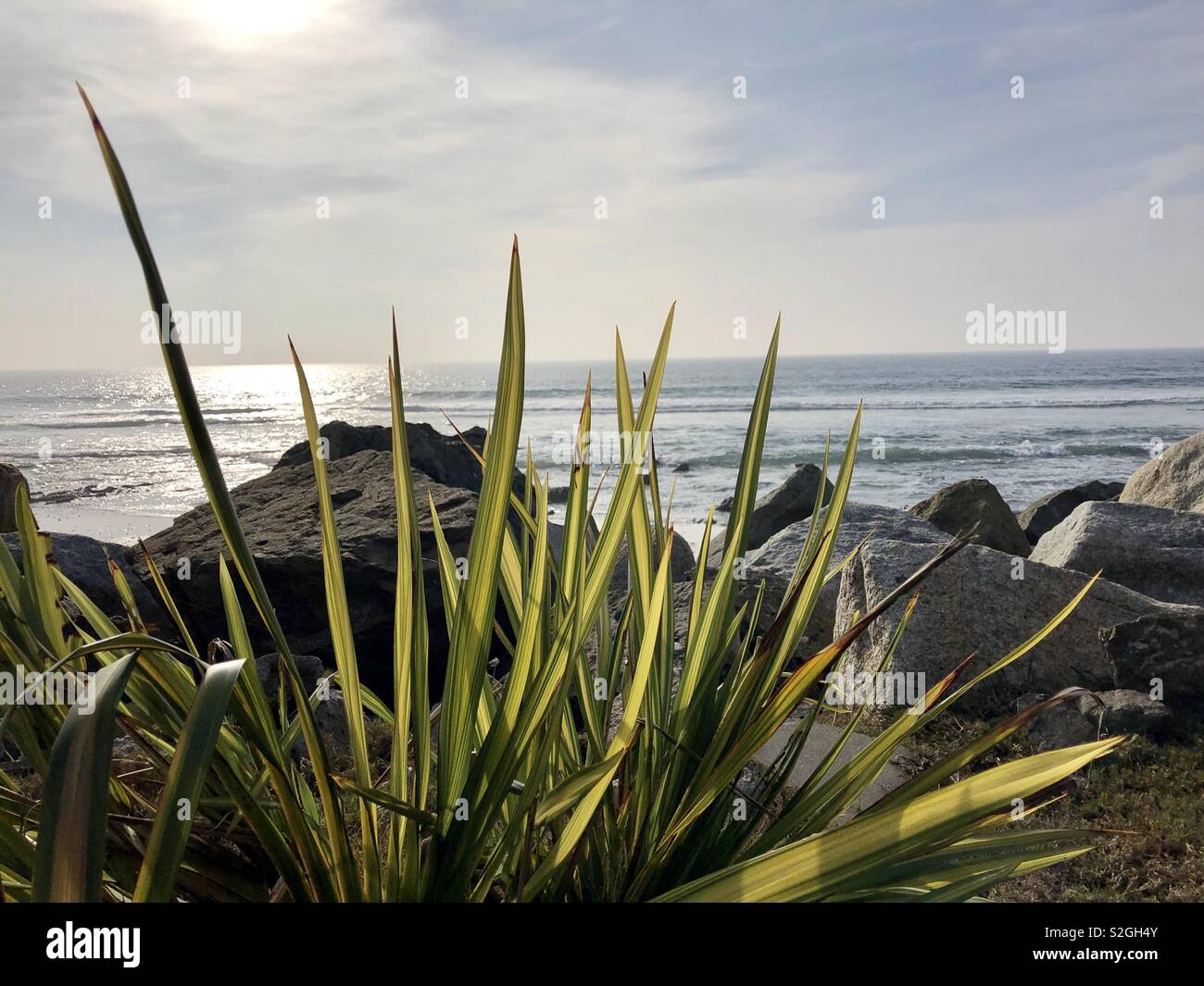Walk into the ocean hi-res stock photography and images - Alamy