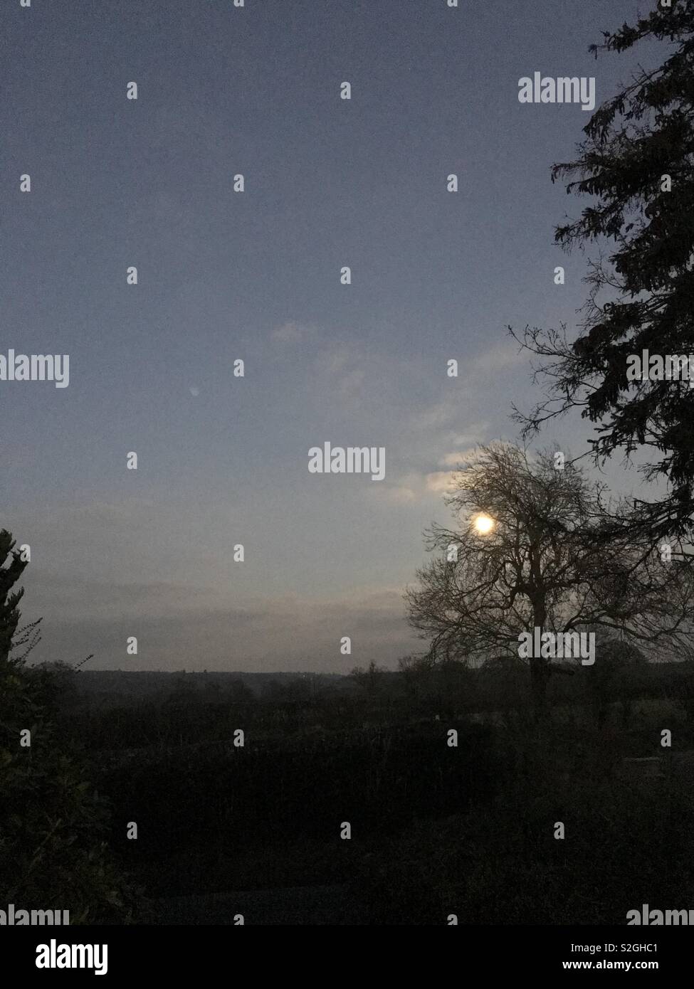 Moon behind tree Stock Photo - Alamy