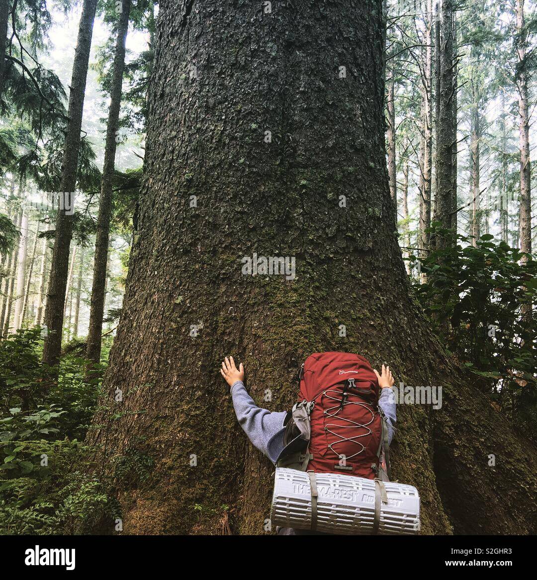 Tree hugger hi-res stock photography and images - Alamy