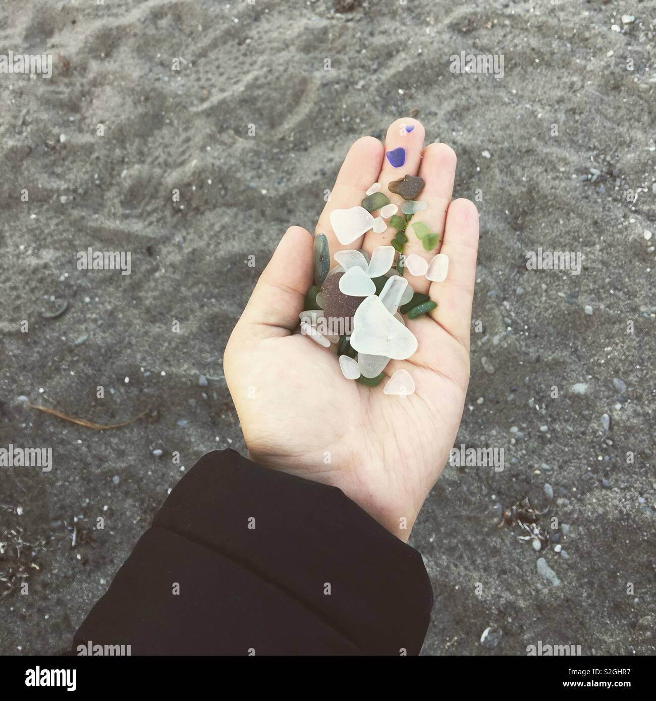 A collectors hand Stock Photo - Alamy
