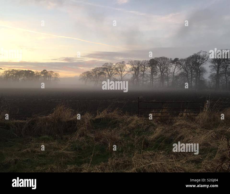 Moody monday hi-res stock photography and images - Alamy