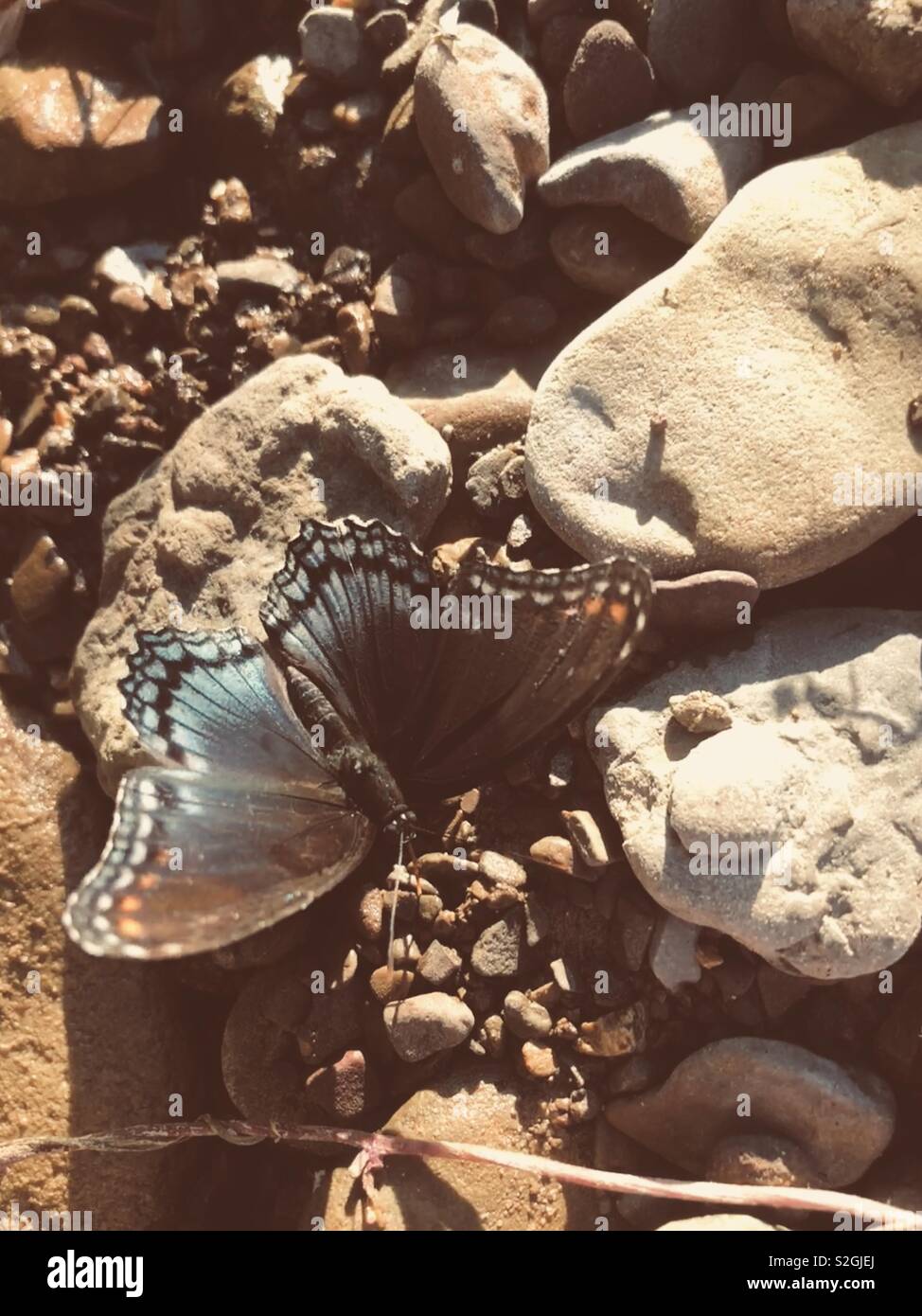 Beauty in the Rocks Stock Photo - Alamy