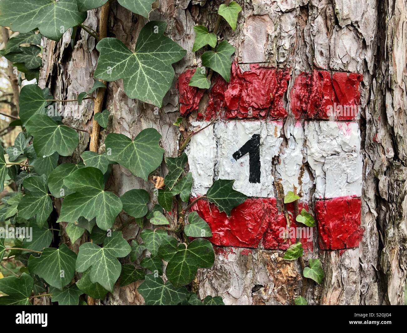 Pathway marker hi-res stock photography and images - Alamy