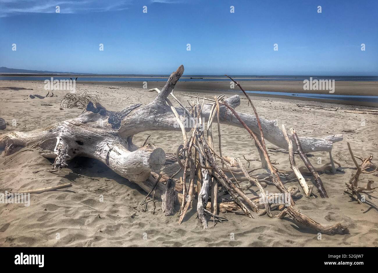 Driftwood on a beach Stock Photo - Alamy