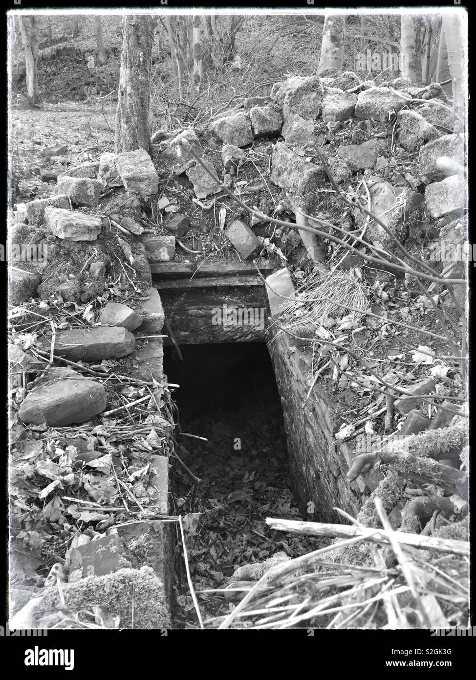 Black and White Photo of Entrance to Cellar/ Basement of Long Gone ...