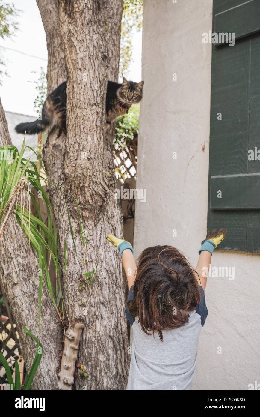 Kid Extending Arms to Cat in Tree Stock Photo - Alamy