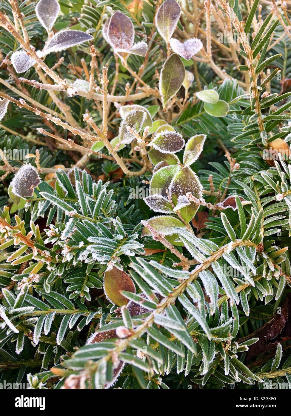 Various edges hi-res stock photography and images - Alamy