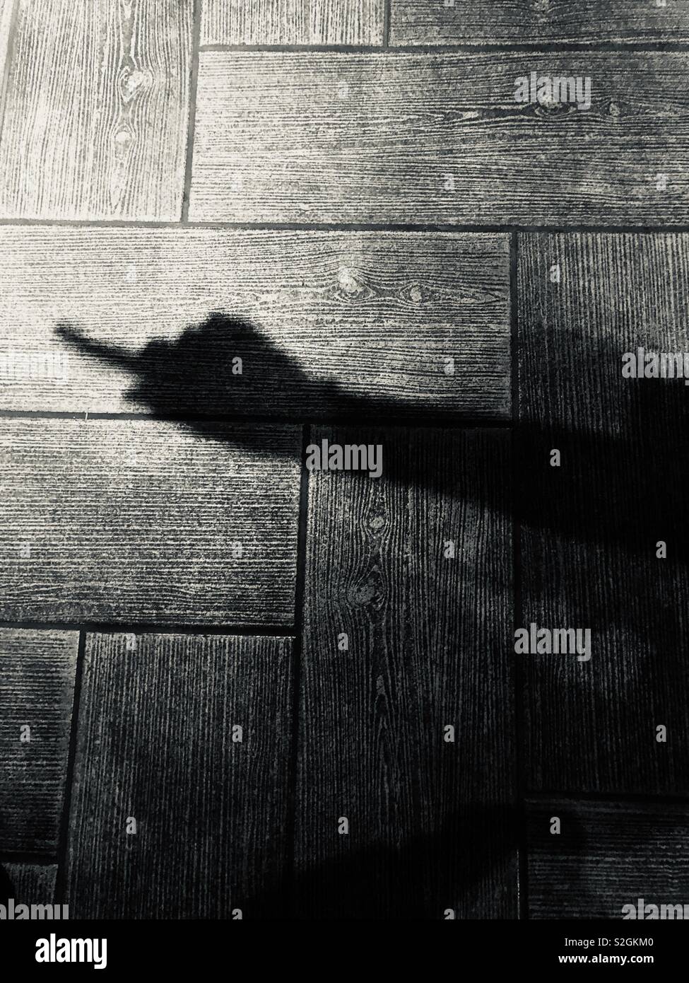 Finger shadow hi-res stock photography and images - Alamy