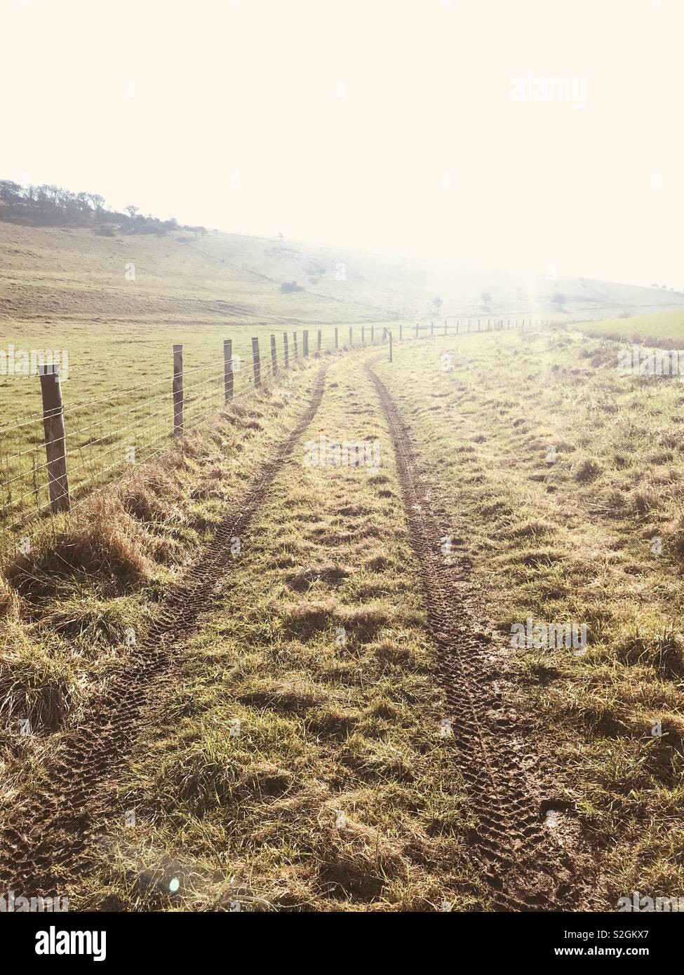 South Downs Sunday walk Stock Photo - Alamy
