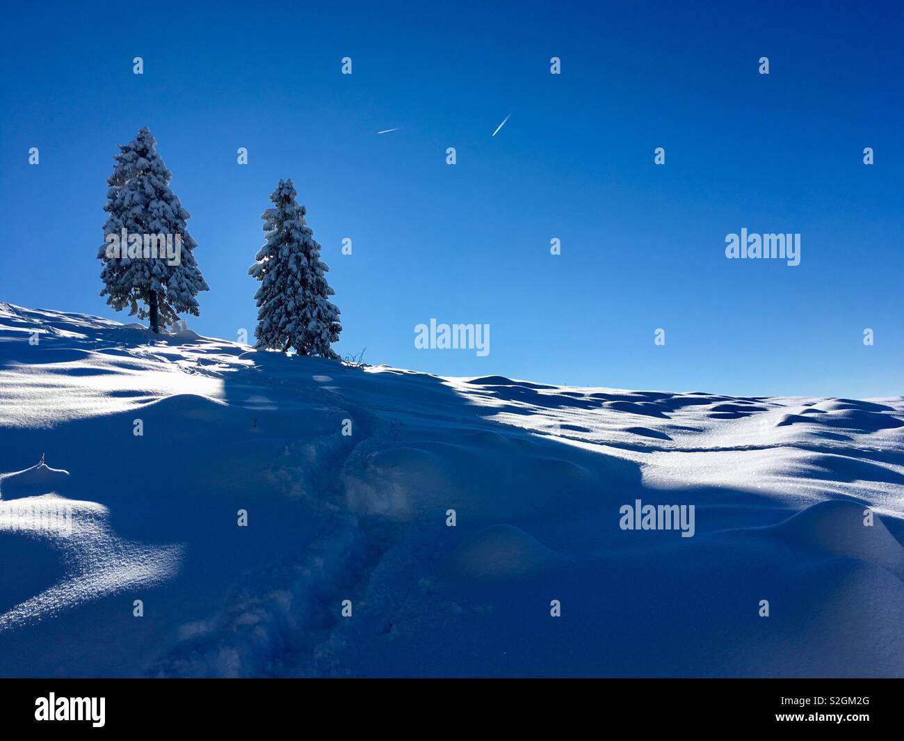 Clear sky in winter hi-res stock photography and images - Alamy