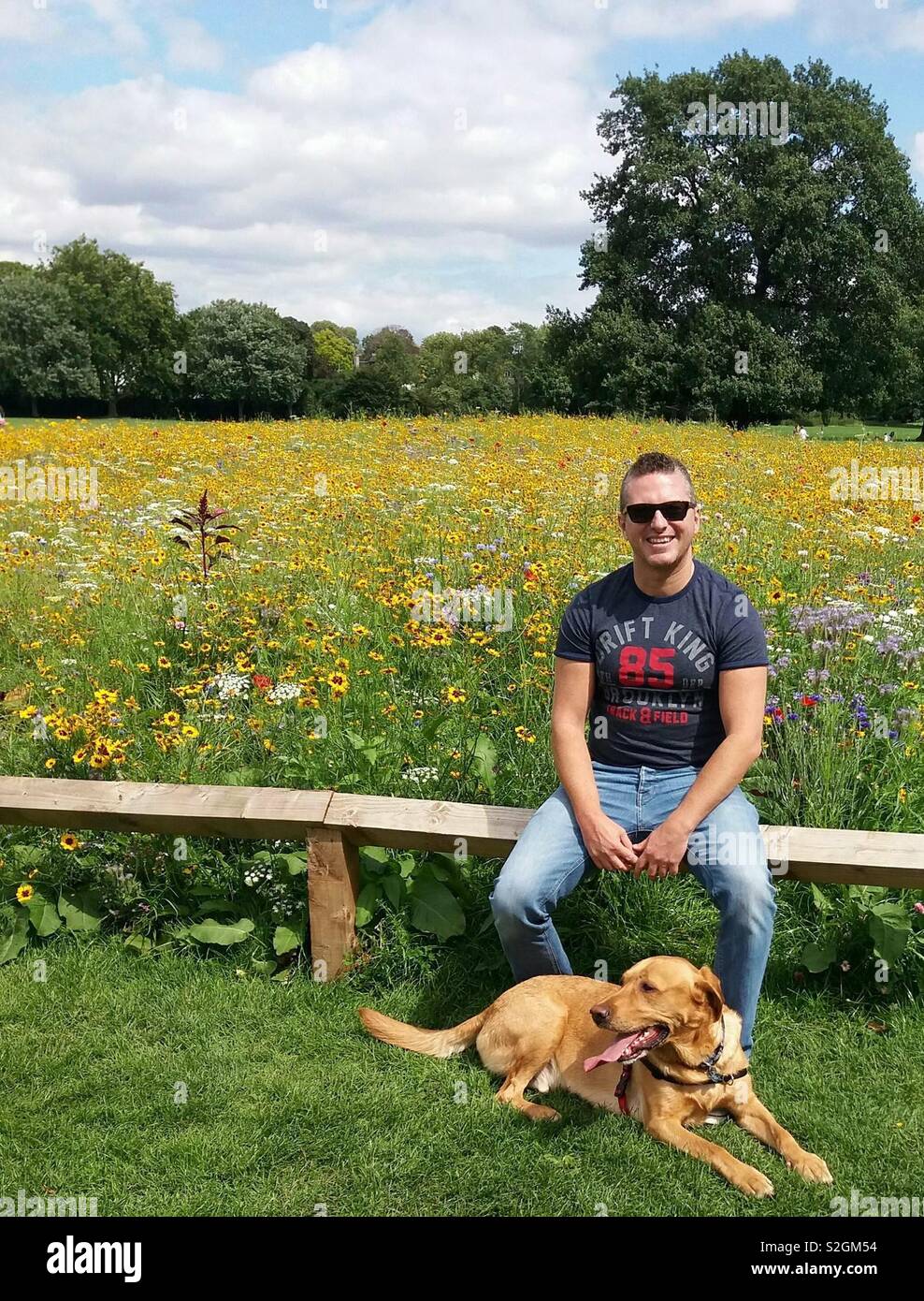 Man’s best friend hi-res stock photography and images - Alamy