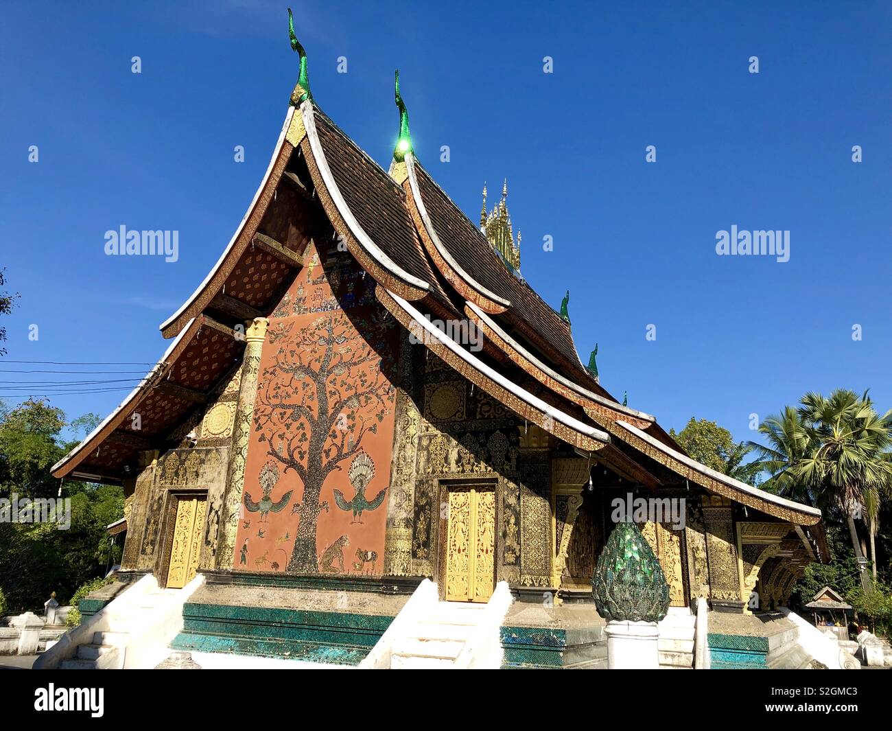 Tree of life temple Luang Prabang Stock Photo - Alamy