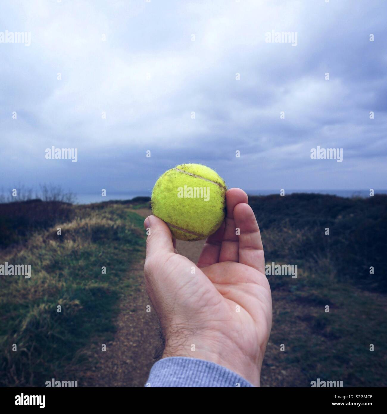 hand and tennis ball Stock Photo - Alamy