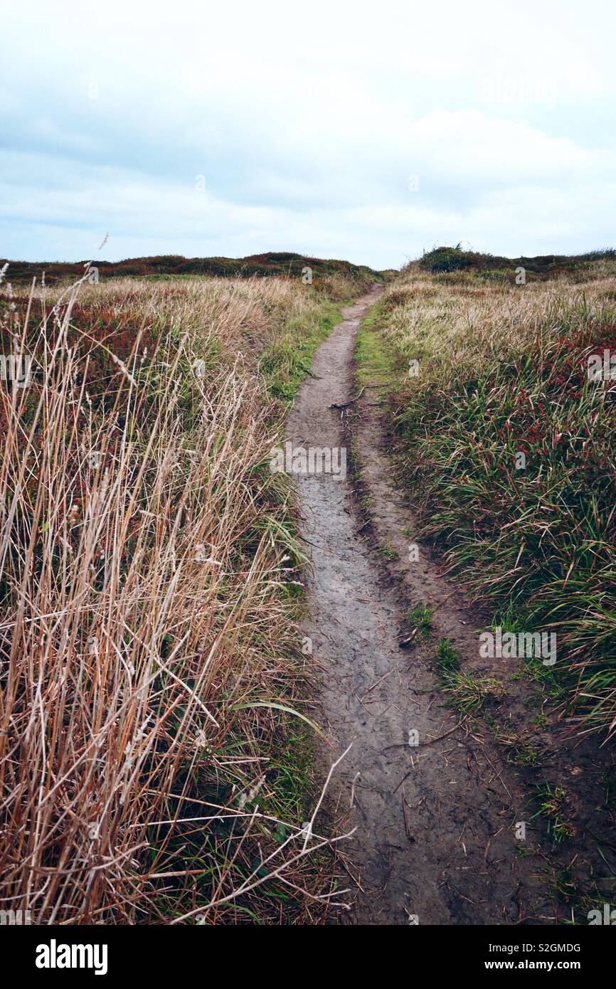 path track in the mountain Stock Photo - Alamy