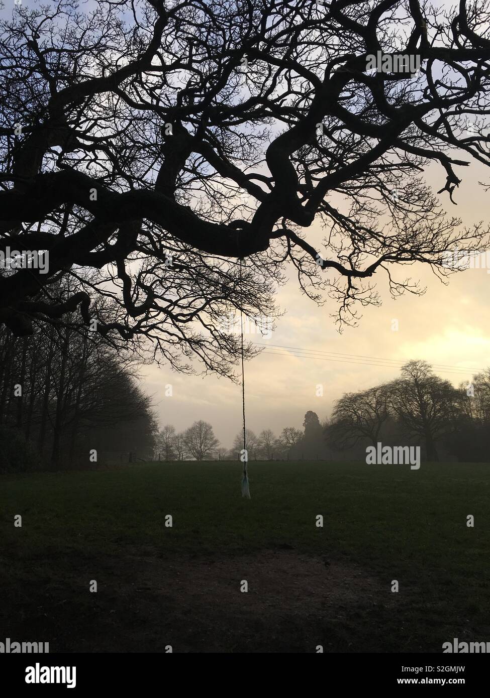 Single rope swing Stock Photo - Alamy