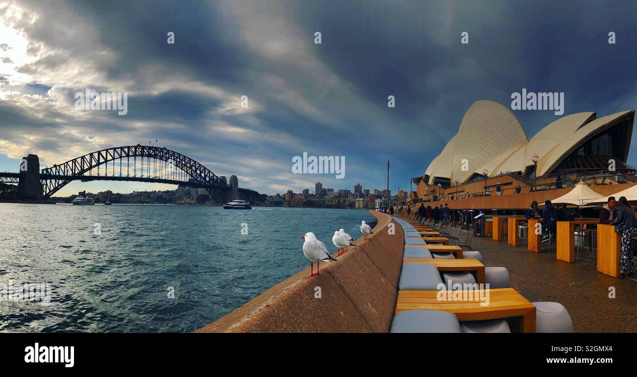 Opera house & the harbour bridge 🌉 Stock Photo - Alamy