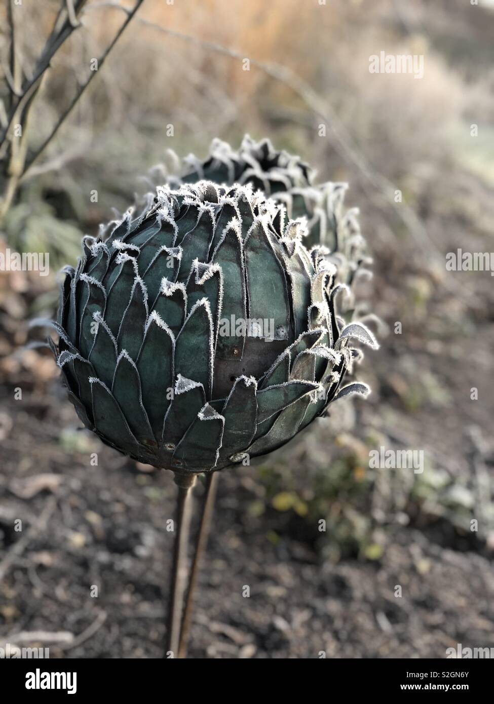Ice garden hi-res stock photography and images - Alamy
