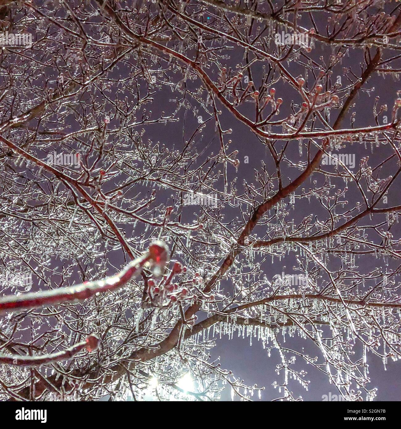 Cold icy morning Stock Photo - Alamy